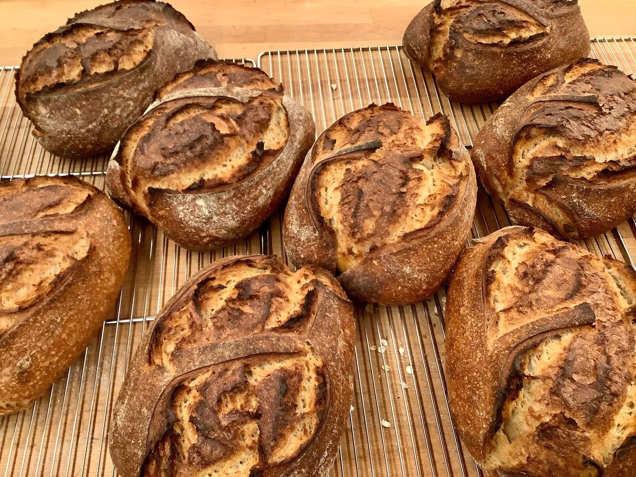 Over Ons – MORGEN bakkerij